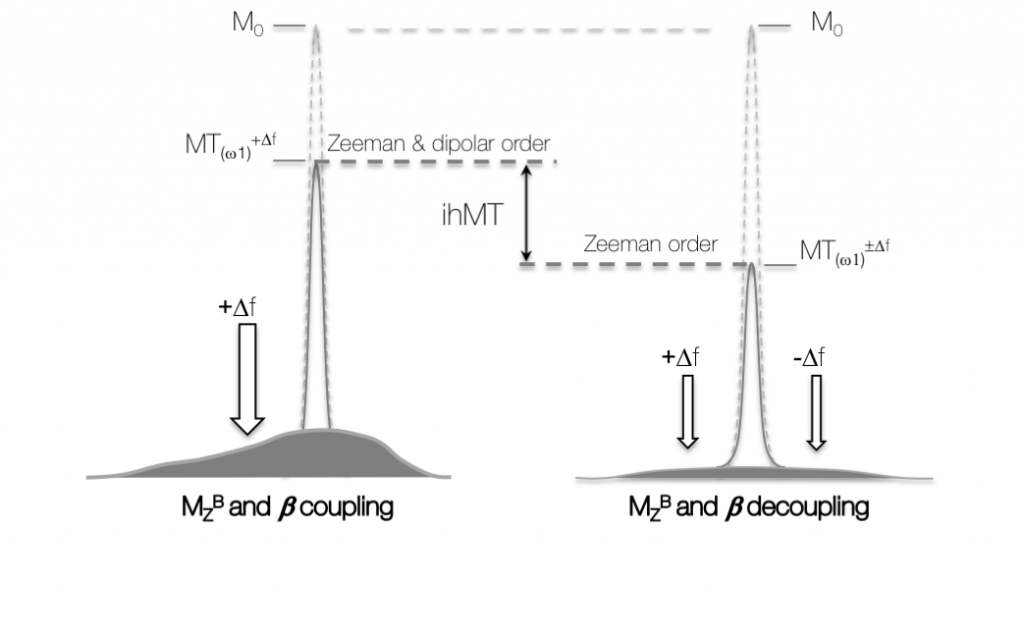 1/ Physical mechanisms of ihMT - Center for Magnetic Resonance in ...